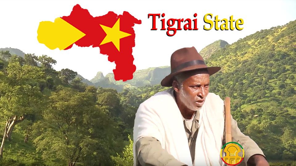 The Federal government needs to stop the madness in Amhara state before ...